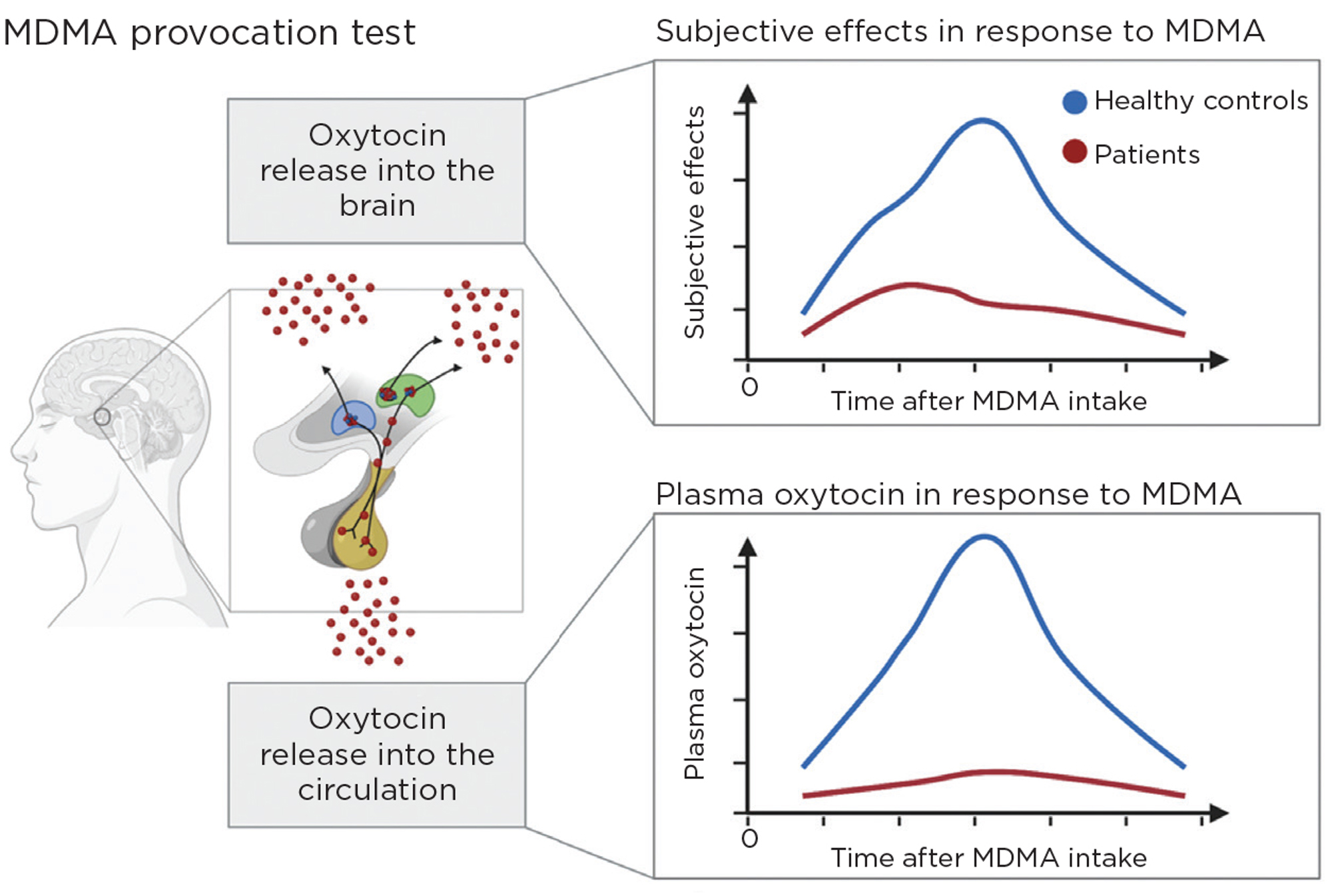OXYTOCIN DEFICIENCY IN CENTRAL DIABETES INSIPIDUS (AVP DEFICIENCY ...