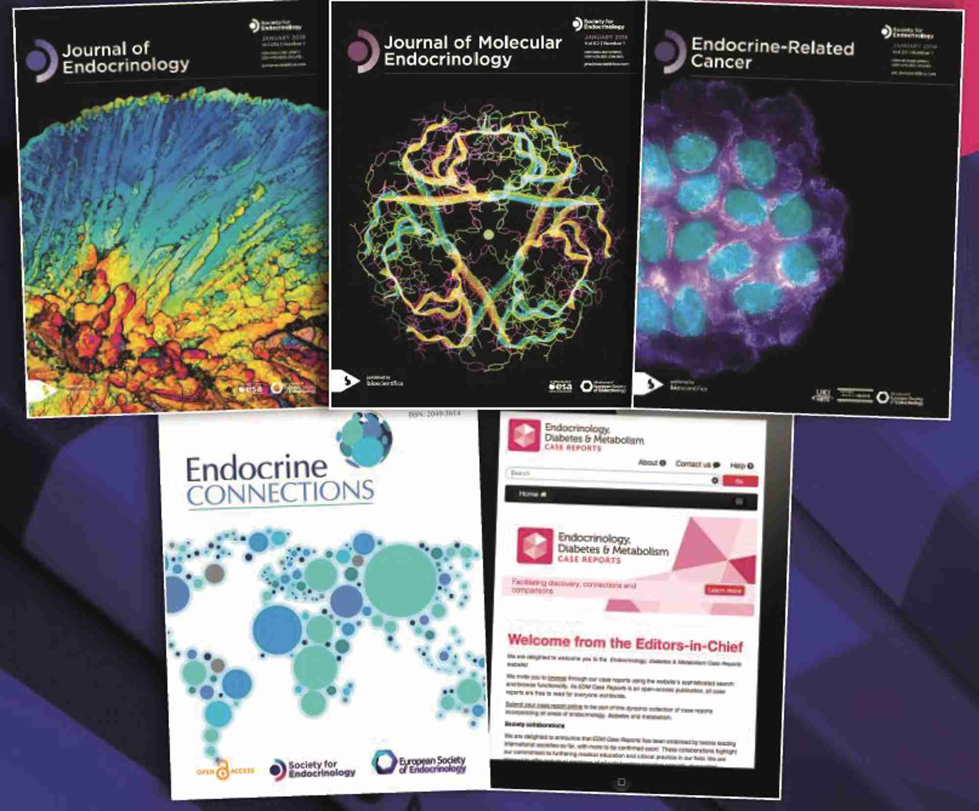 Be at the forefront of endocrinology with Society journals | Society ...