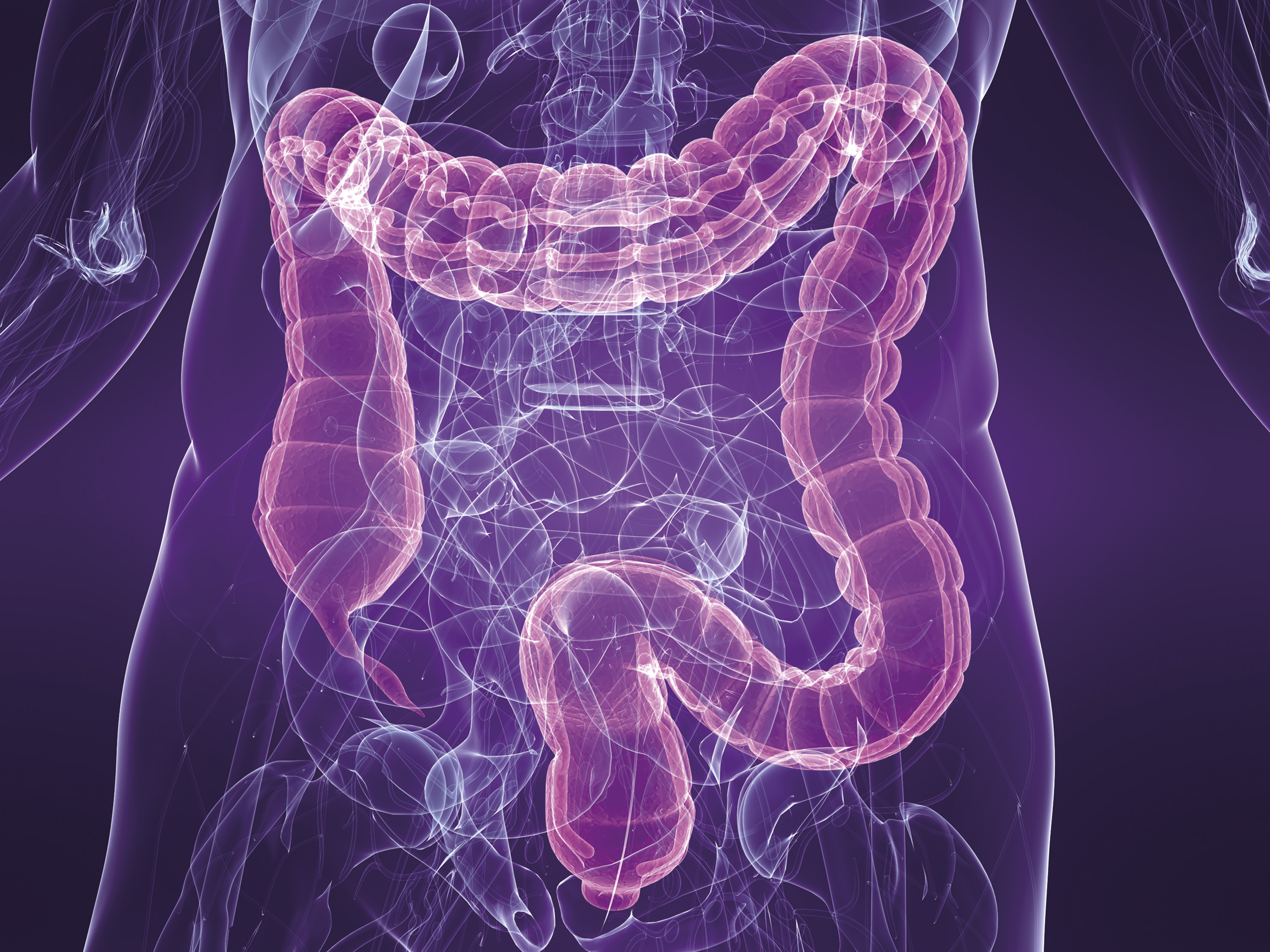 Gut Microbiome Special Collection | Society for Endocrinology