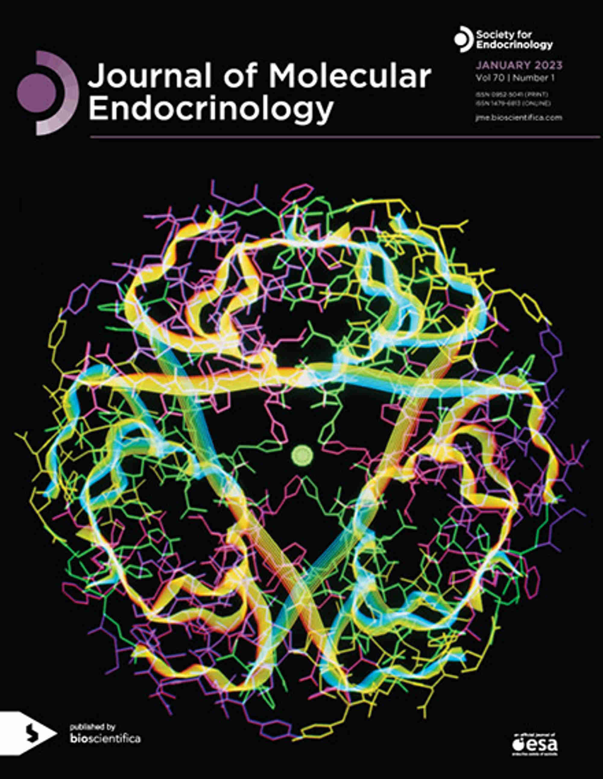 RAISED INSULIN INSULTS CELLS THROUGH ENDOPLASMIC RETICULUM STRESS ...