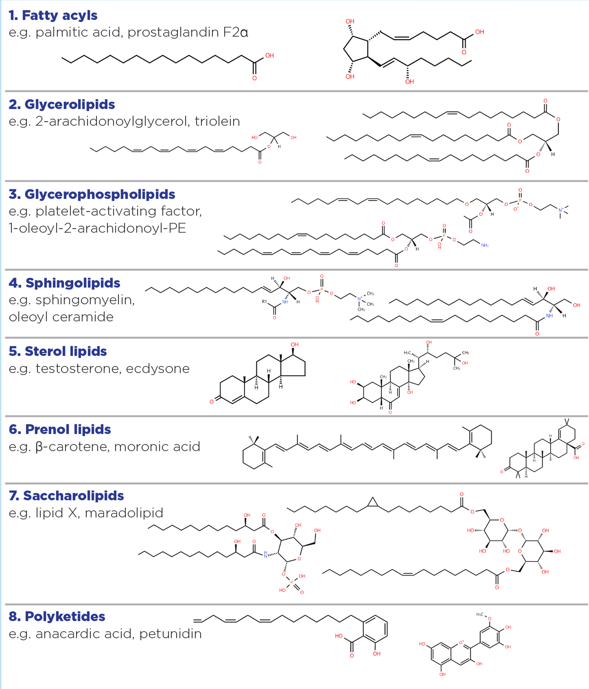 HOW DO I…DECIPHER LIPIDS? | Society for Endocrinology